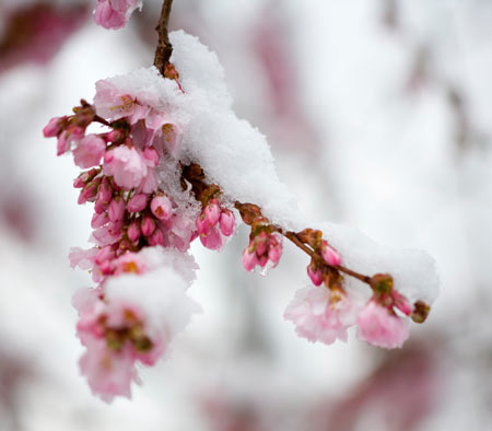 The Age of Humbleness is Upon Us: Wear Pink in Winter