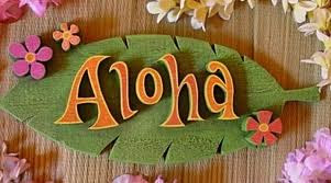 Aloha !!! blog do surf