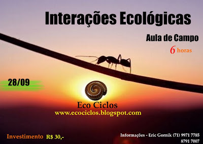 Eco Ciclos: Interações Ecológicas vol.2