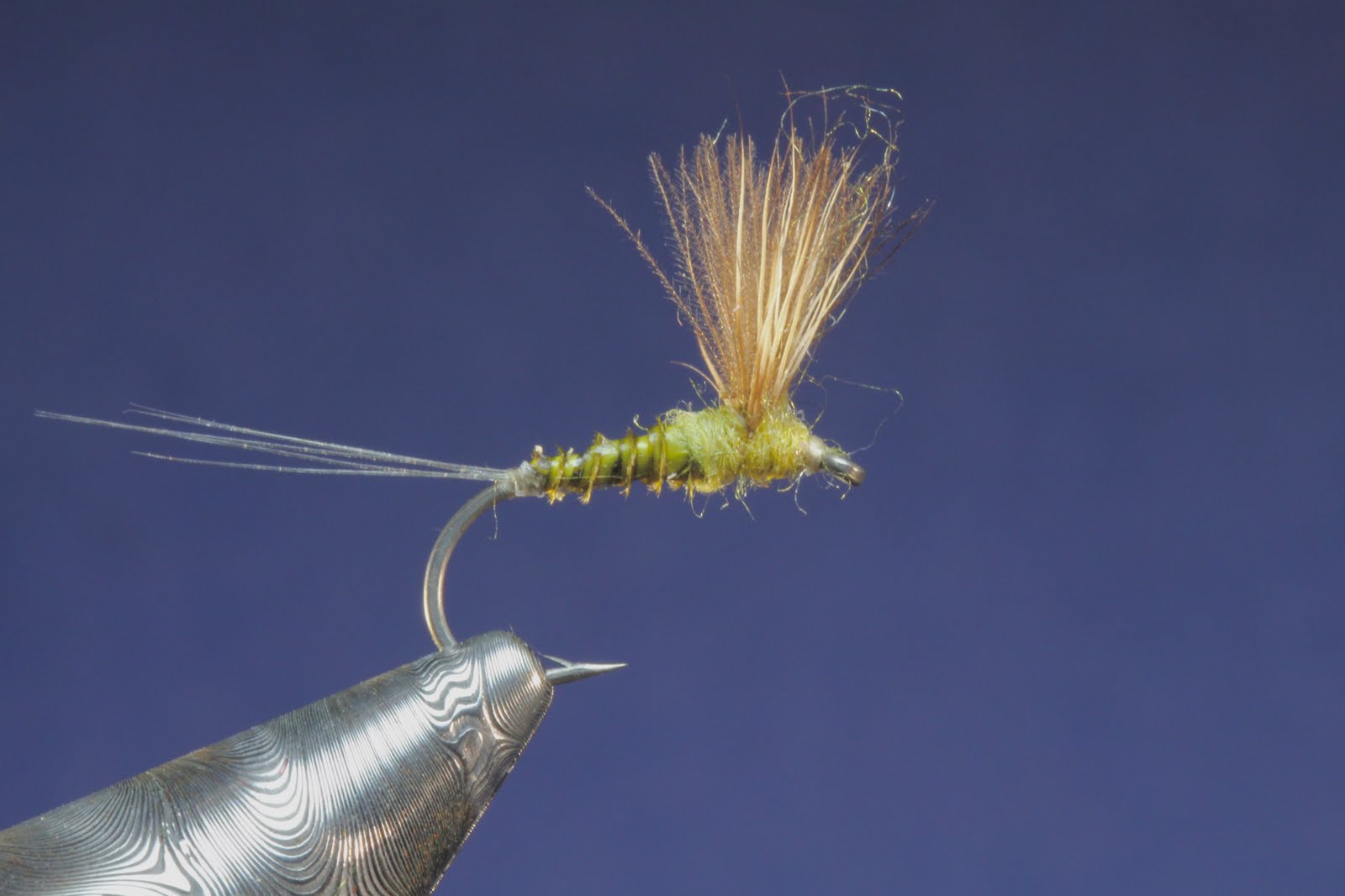 Fly Fishing and Fly Tying: Biot Body CDC and Deer Hair Comparadun