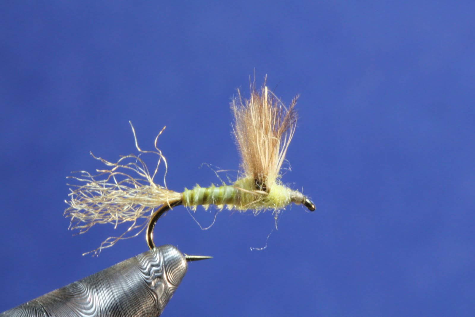 Fly Fishing and Fly Tying: Biot Body CDC and Deer Hair Comparadun