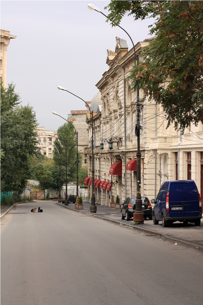 Bucharest Photo Gallery | Page 82 | SkyscraperCity Forum