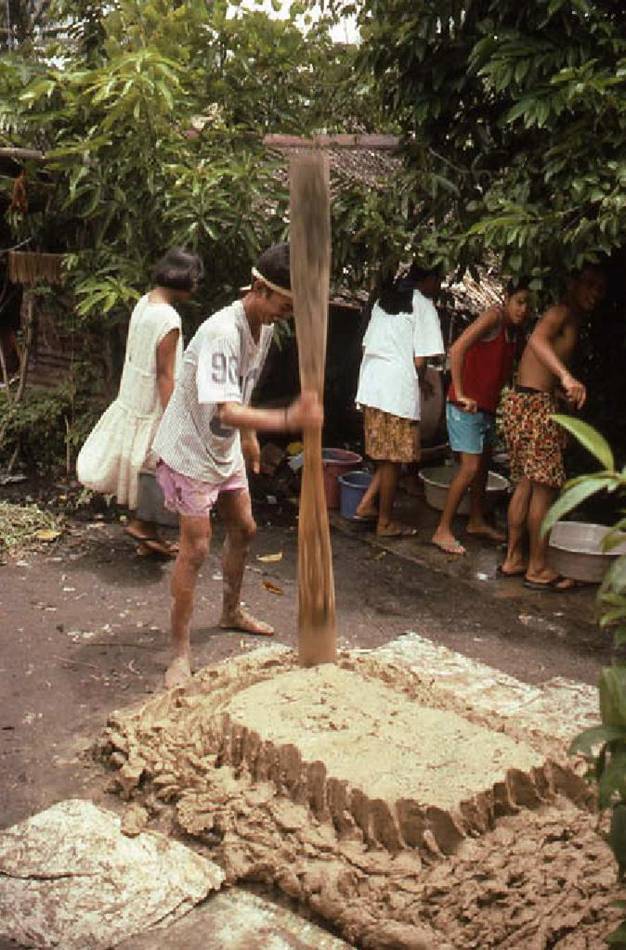Archaeological*Highlights: Identifying pottery clay from rice fields ...