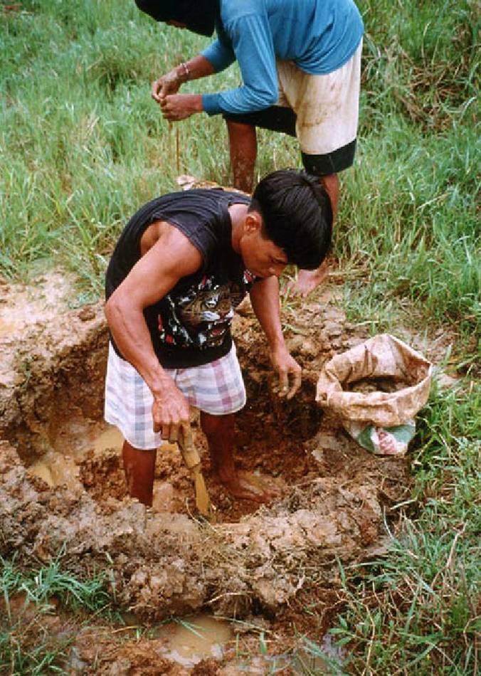 Archaeological*Highlights: Identifying pottery clay from rice fields ...