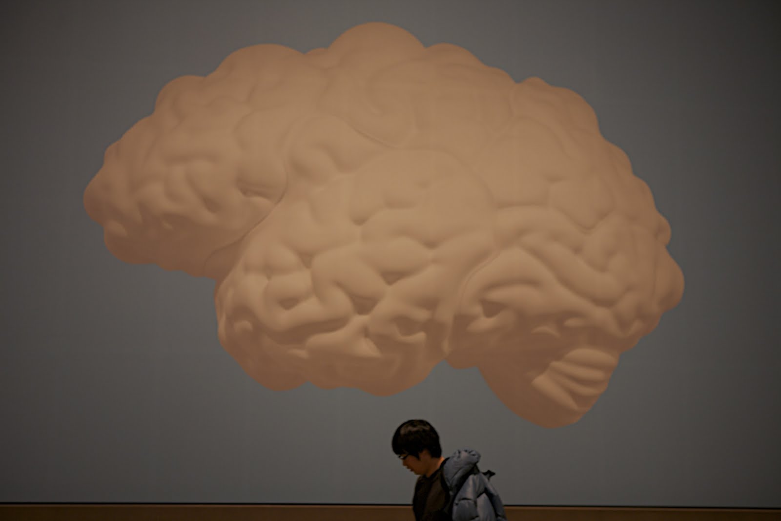 Larchmont Daily Photo: Brain Cloud