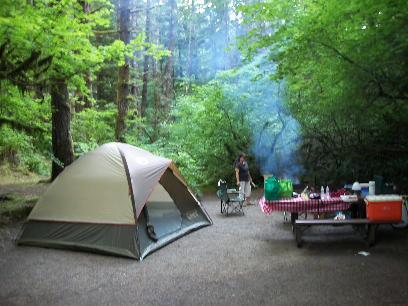 Angelina's Kitchen Corner: Alsea Falls