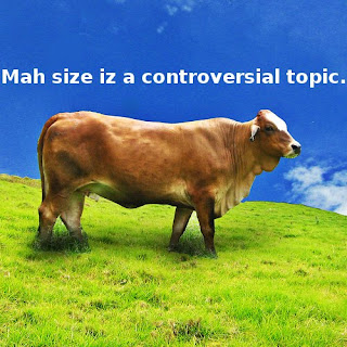 Awkward Cow
