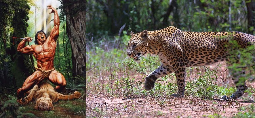 Tarzan Vs Leopardo Youtube