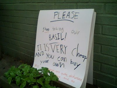 Lost City: Basil Thief Post Inspired Dozens of Bad Jokes