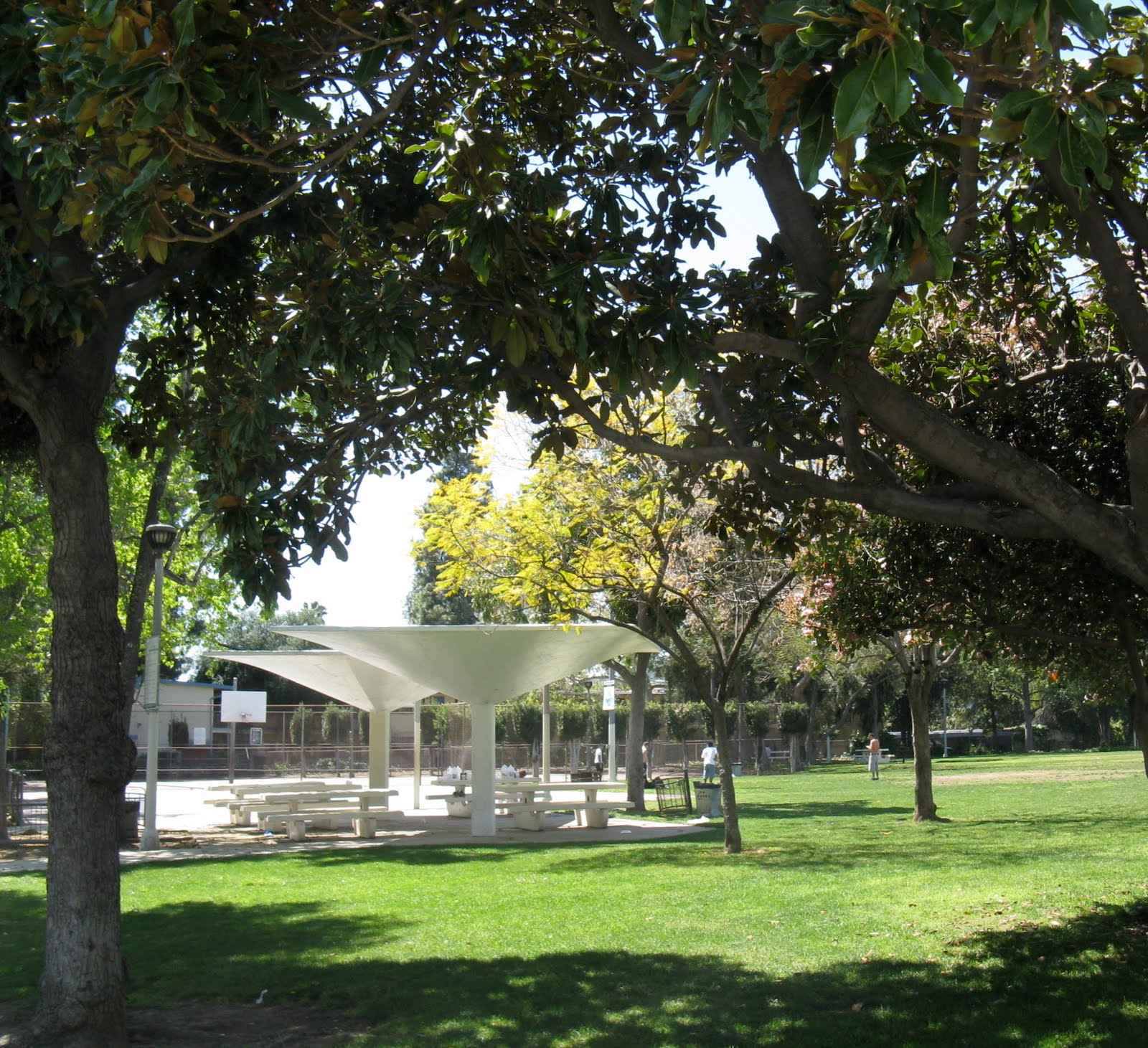 the sky is big in pasadena: brenner park (and some very exciting news!)