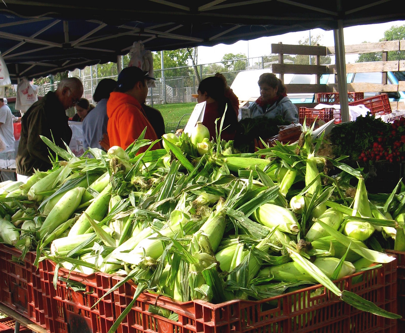 the sky is big in pasadena: sweet corn at the farmers market