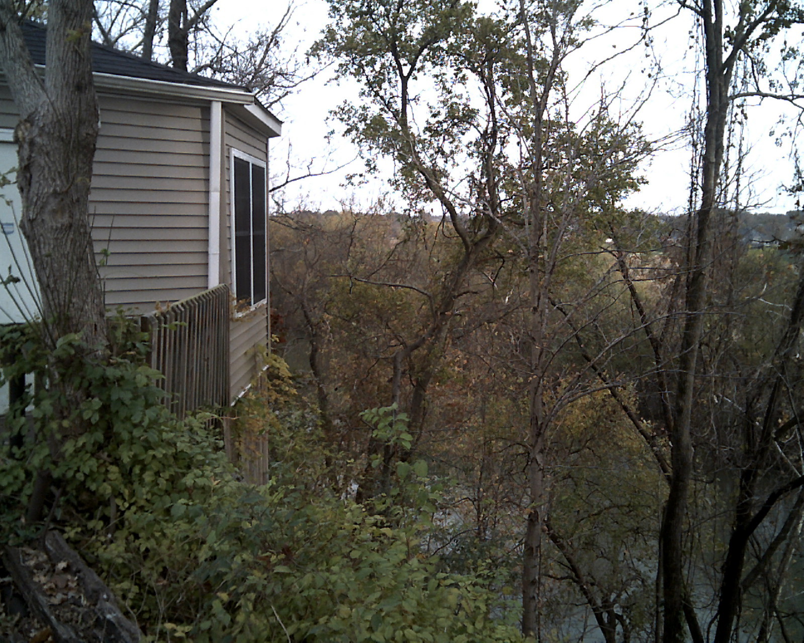 Suits in Strange Places: Election Day BBQ in the Land of “The Free”