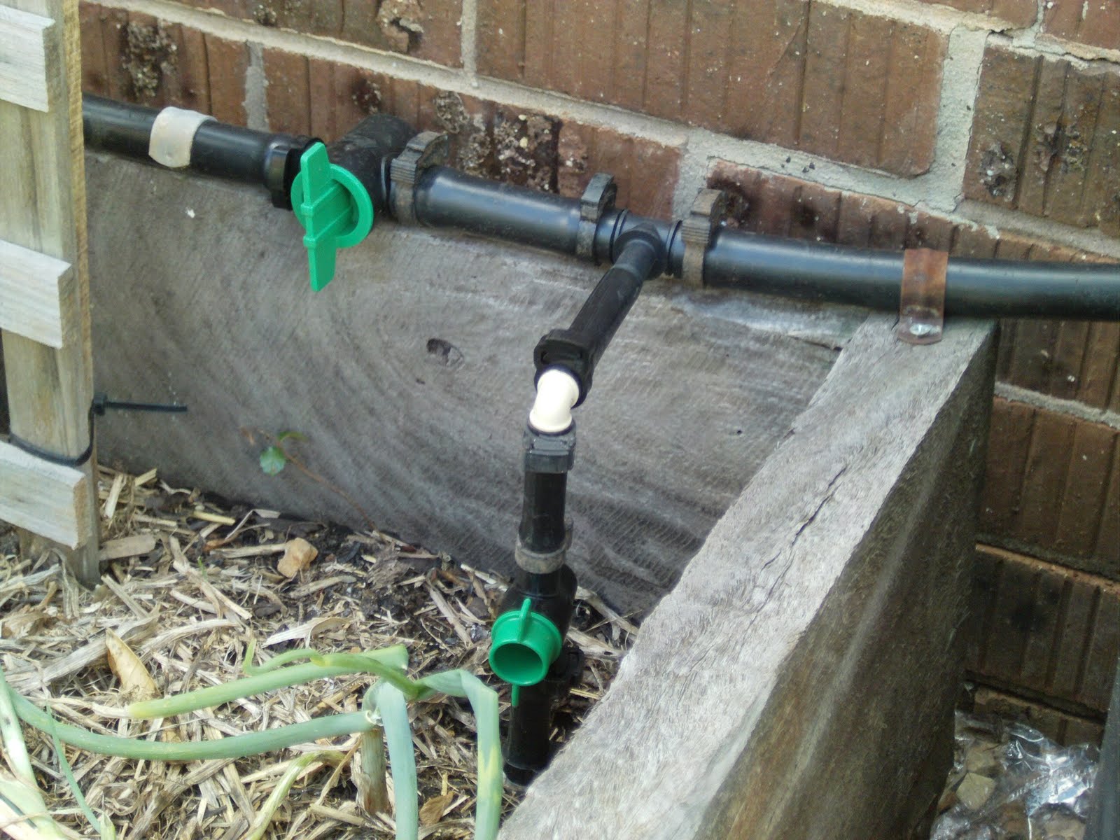 Low Pressure Drip Irrigation Part 3 - The Greening of Gavin