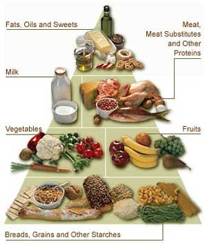 TheFitTeach: The Mixed Type Diet