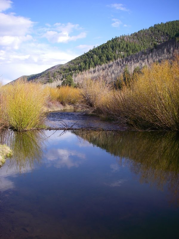 Utah Water Log: Currant Creek Reservoir