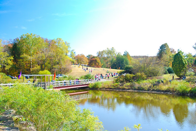 ♥ Falling For Louisville ♥: ♥ Bernheim Arboretum/Colorfest ♥