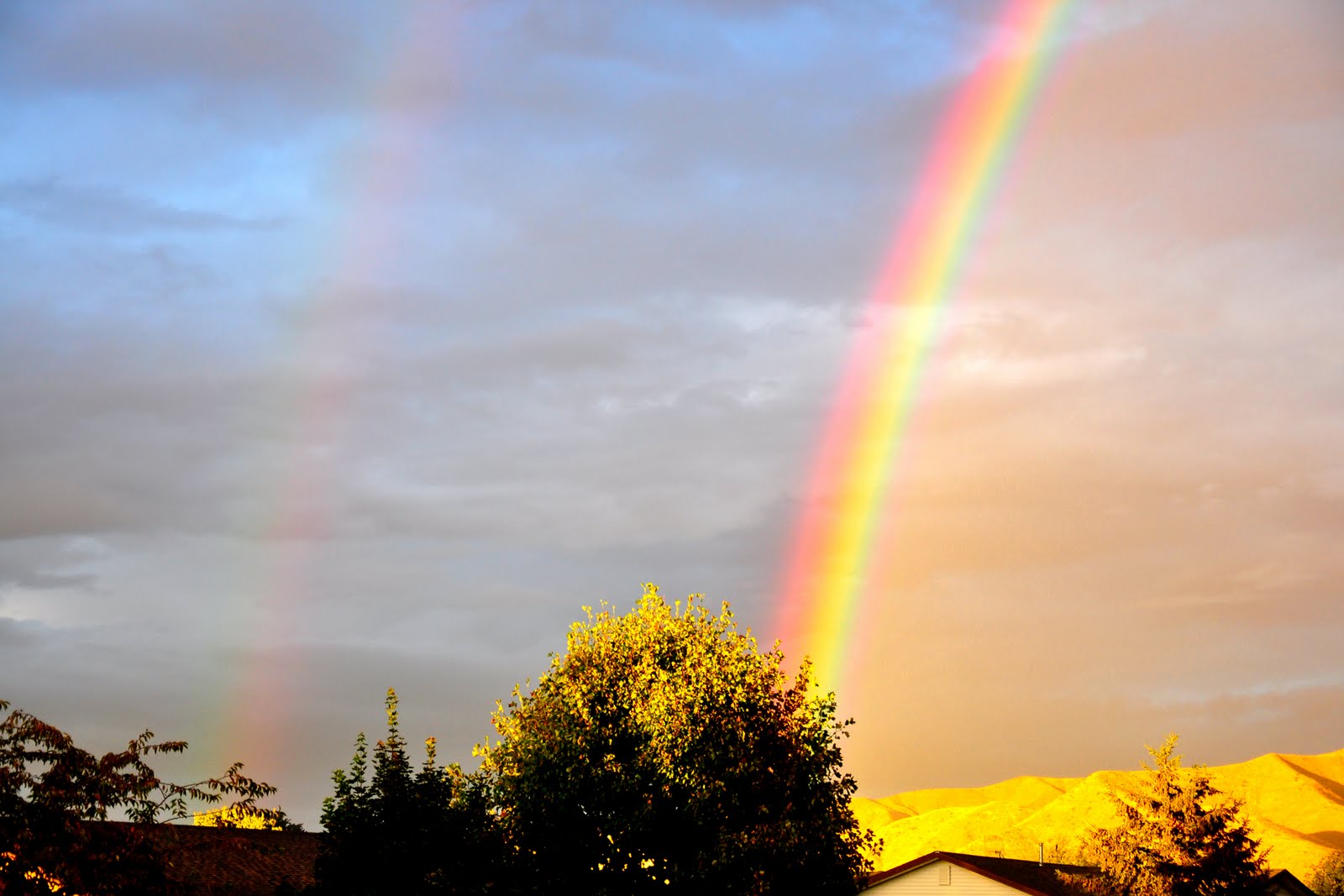 Barbara Walker Photography - Idaho Senior, Couple, Children, and Family ...