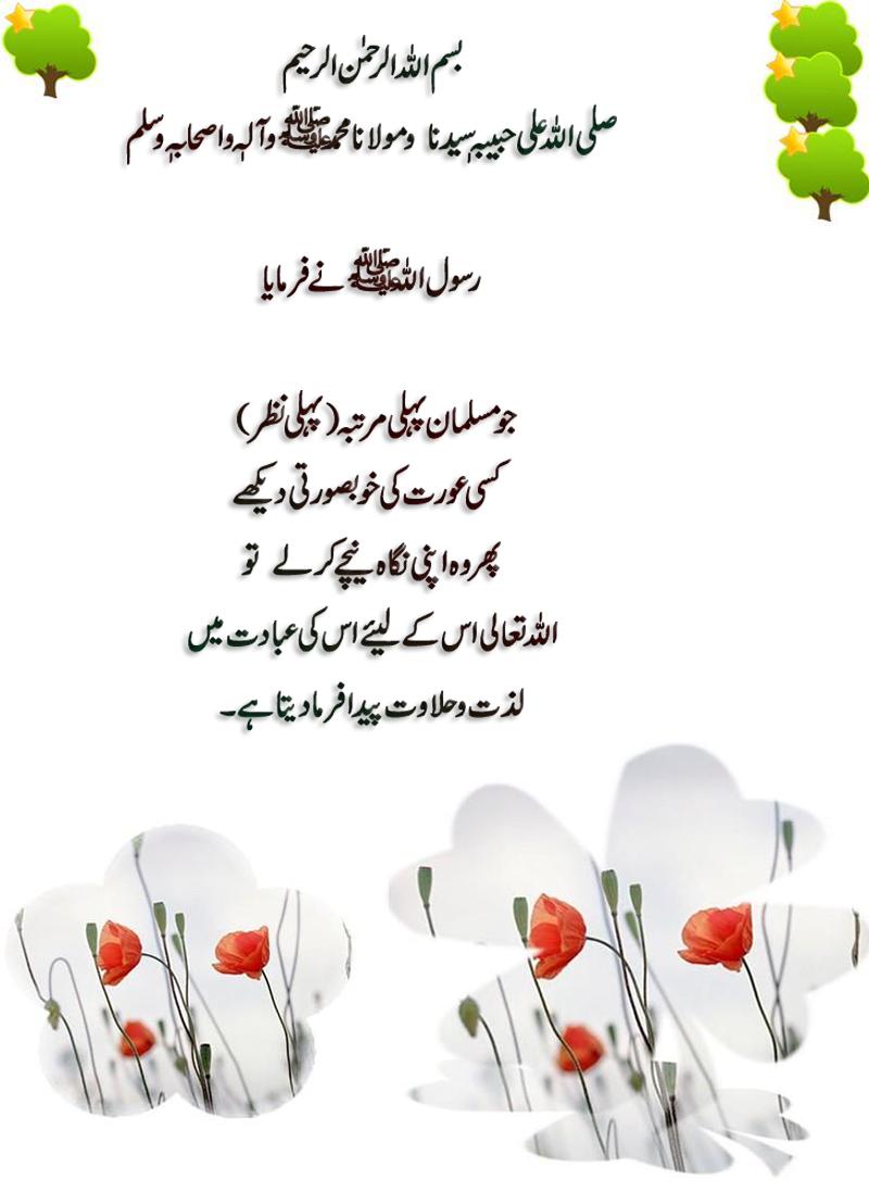 Islam: Aurat ki Khubsurti dekh kar Islam: Aurat ki Khubsurti dekh kar