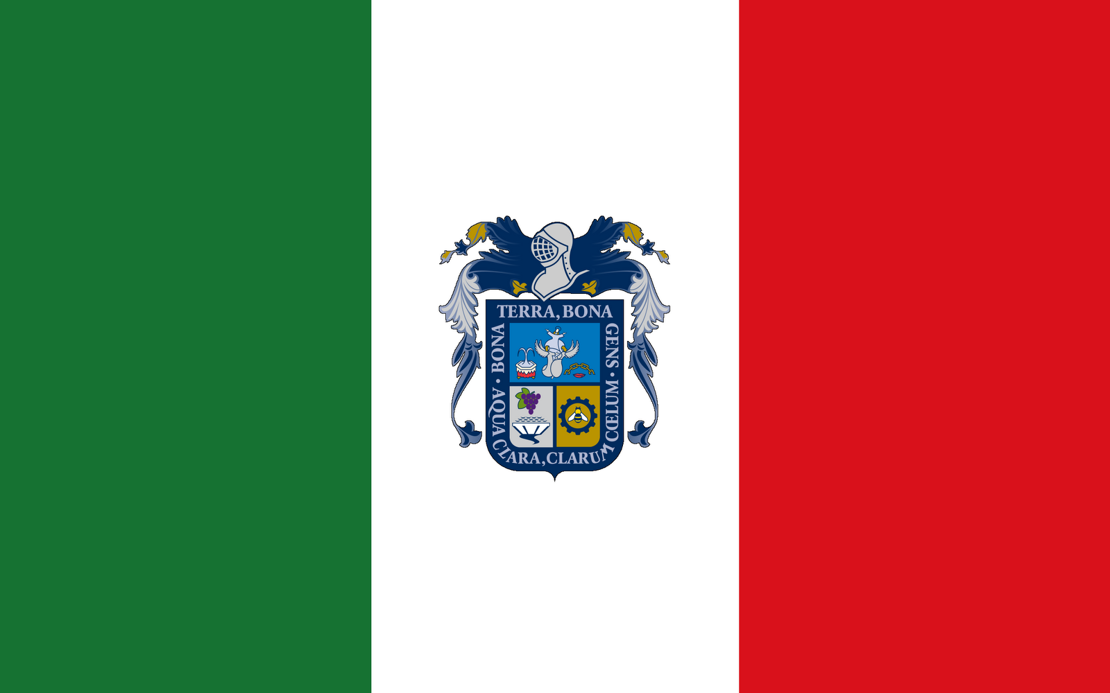 Alex: Aguascalientes Flag 1