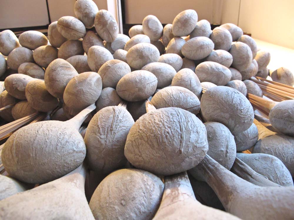 Jennifer Coyne Qudeen: January 2011