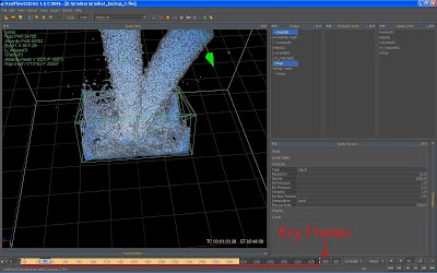 3D Fluids Simulations