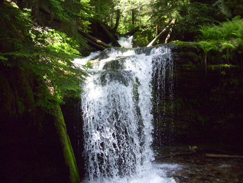 Fern and Shadow Falls - Roads to Everywhere