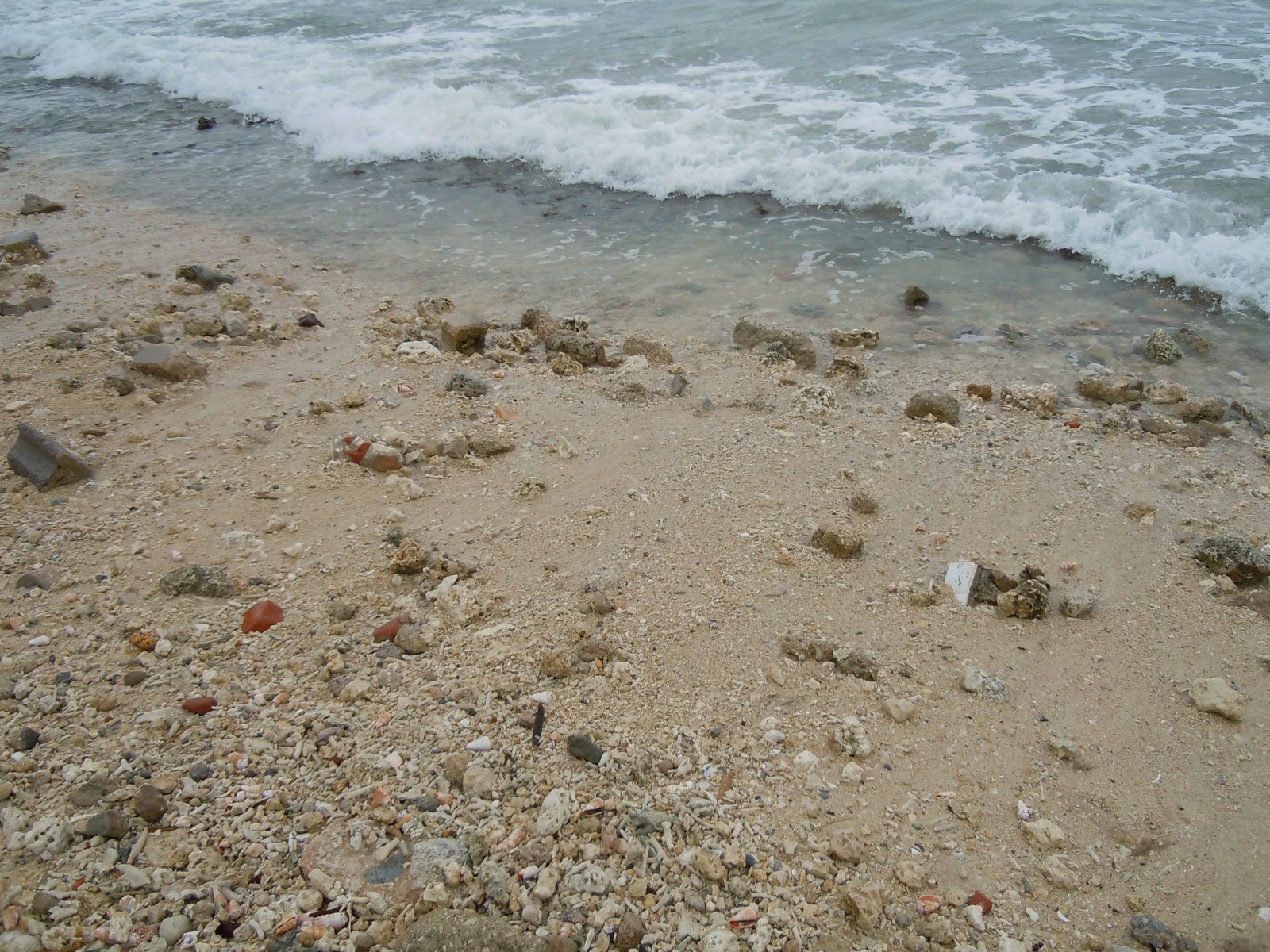 Okinawan Odyssey: Torii Beach