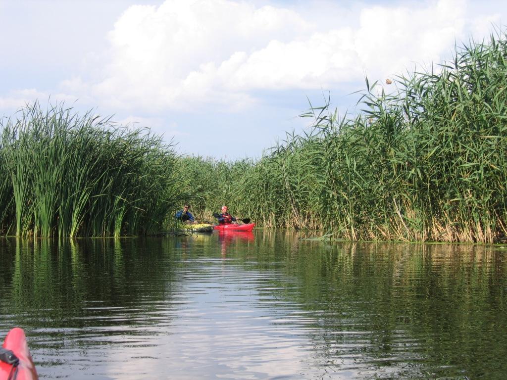 Delta Neajlovului – Romania vazuta din caiac