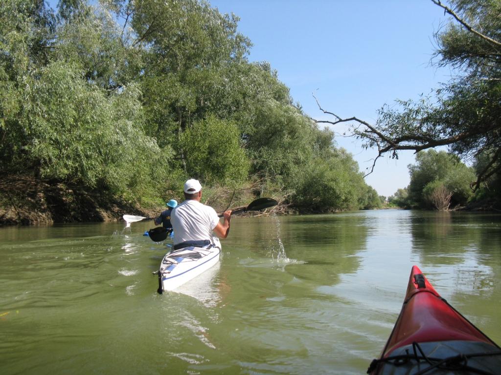 Tură pe râul Timiş, 65 km, România – Serbia – Romania vazuta din caiac