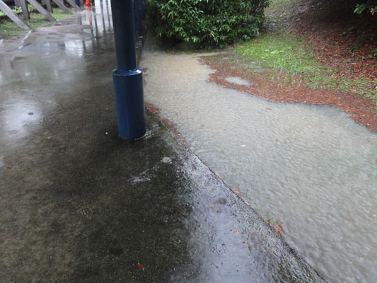 our life in Singapore: wet wet way home ....