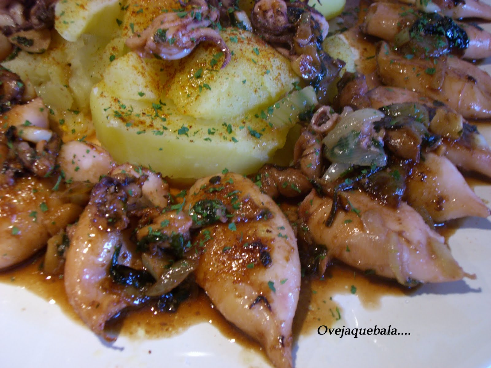 OVEJAQUEBALABOCADOQUEPIERDE: CHIPIRONES A LA PLANCHA CON AJO Y PEREJIL