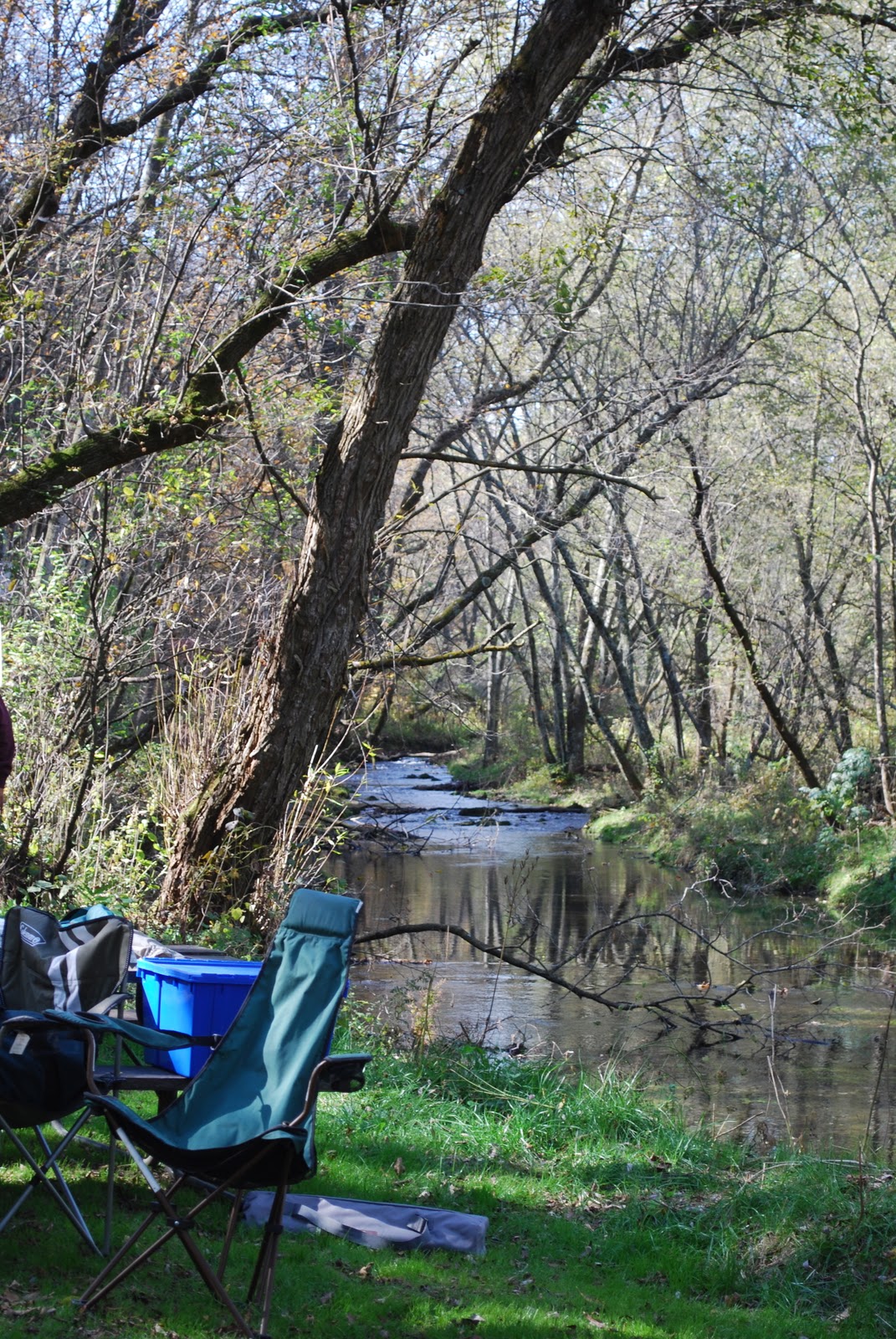 On The Creek: Iowa trout fishing