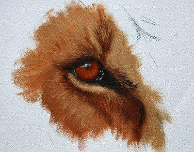Learn to Paint Animals and fur: Learn to paint wildlife - Step-by-Step ...