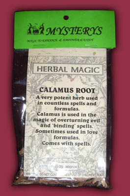 eduinfo: Acorus calamus(Sweet Flag)