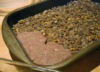 Food for the Lebanese Soul in All of Us: Baked Kibbee (everyone's ...