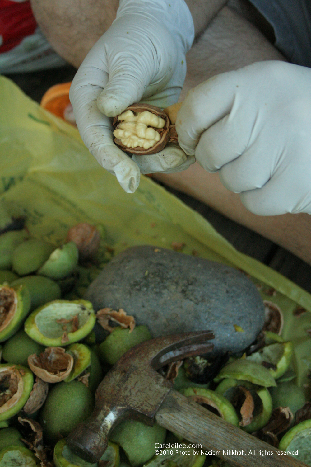 Cafe Leilee کافه لیلی - Foods from Persia to Bay Area: Fresh Walnuts in ...