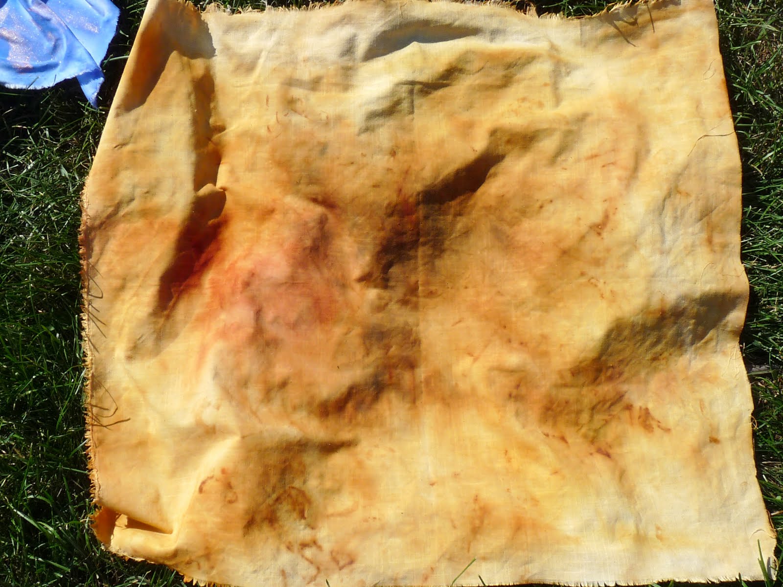 PAT's ART JOURNAL: My Challenge Project - Step One: Dyeing