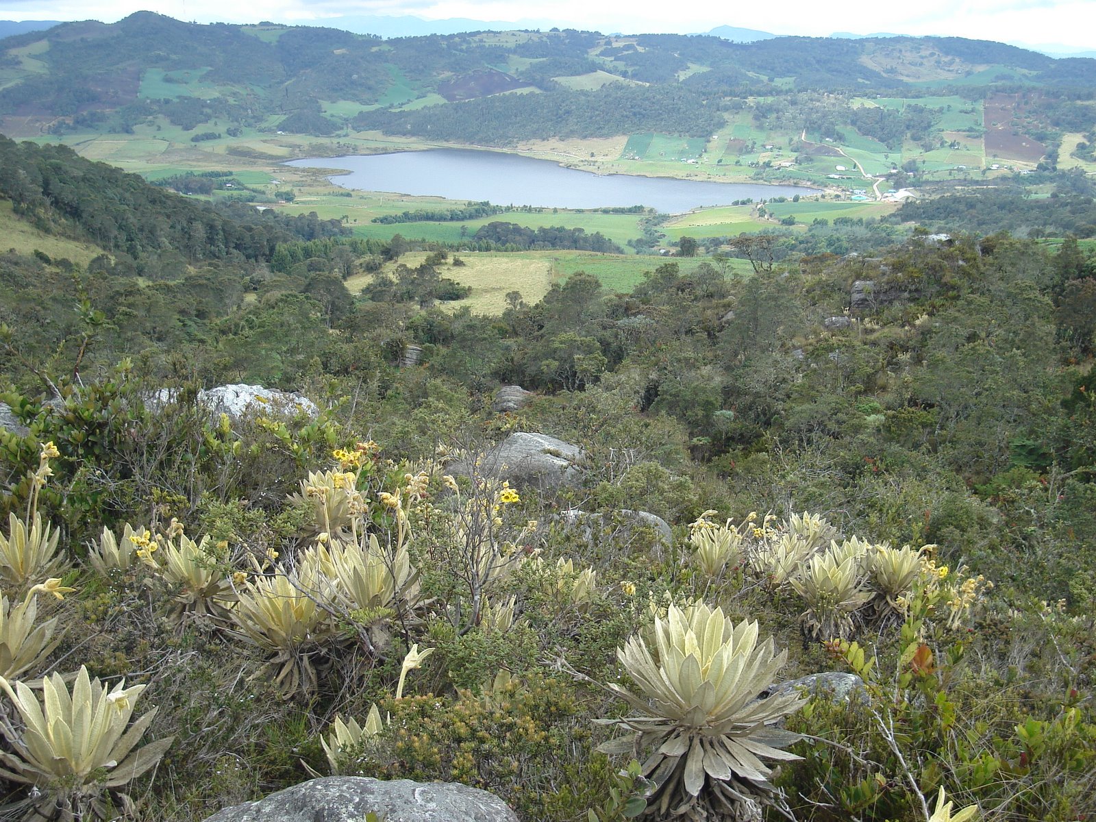FUNDACIÓN SENDEROS Y MEMORIA: CUCHILLA DEL TABLAZO, SUBACHOQUE