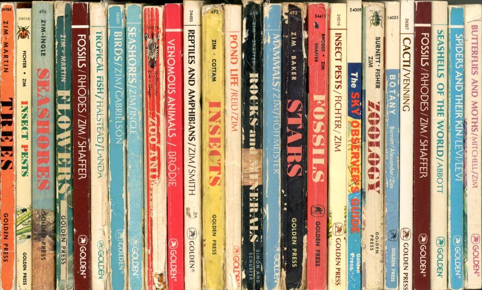 stopping off place: Golden