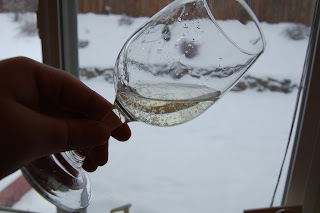 Vino Vamp: 2008 Andre Spumante Sparkling Wine