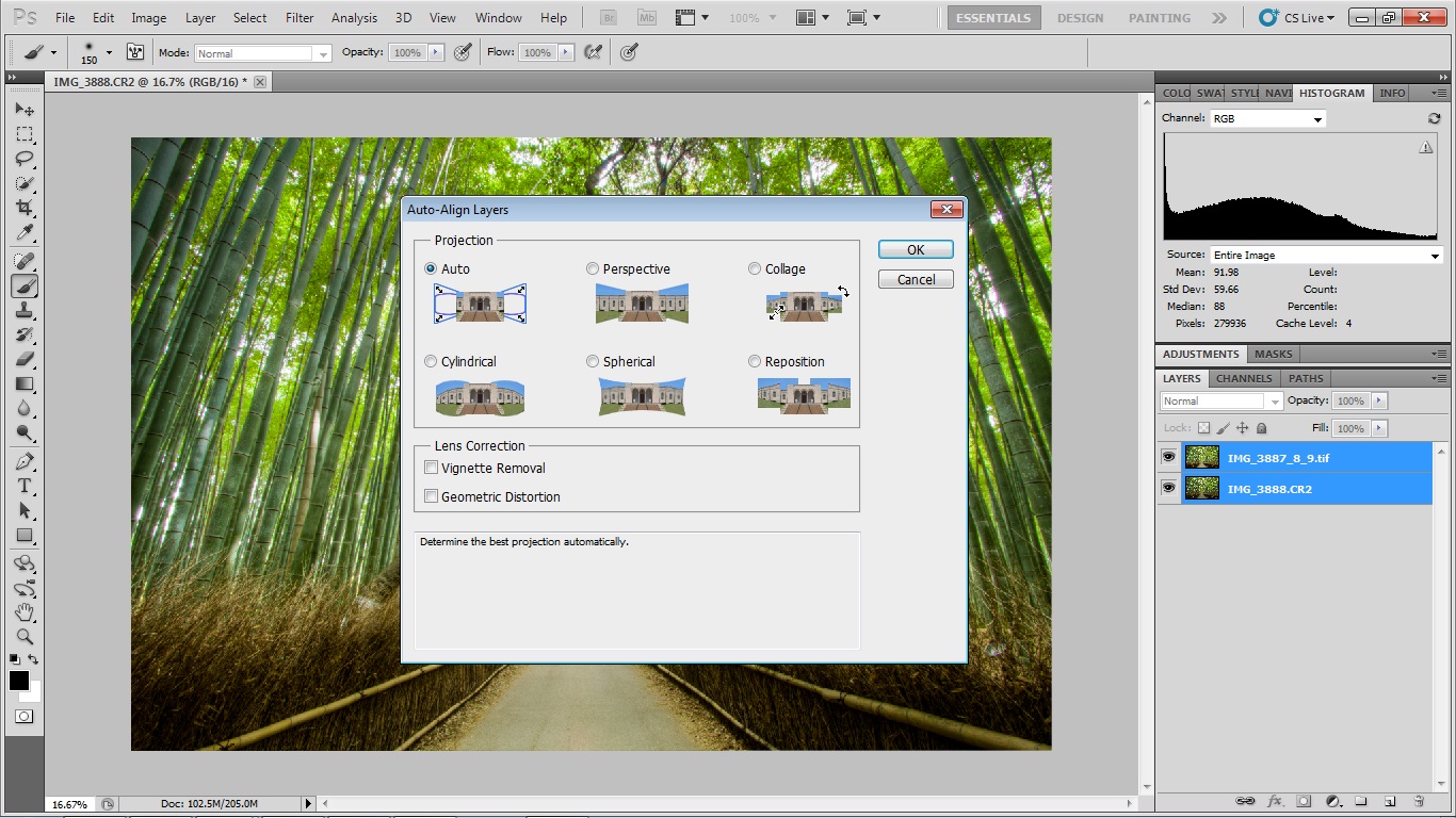 ラタマハッタ (Ratamahatta): HDR Workflow