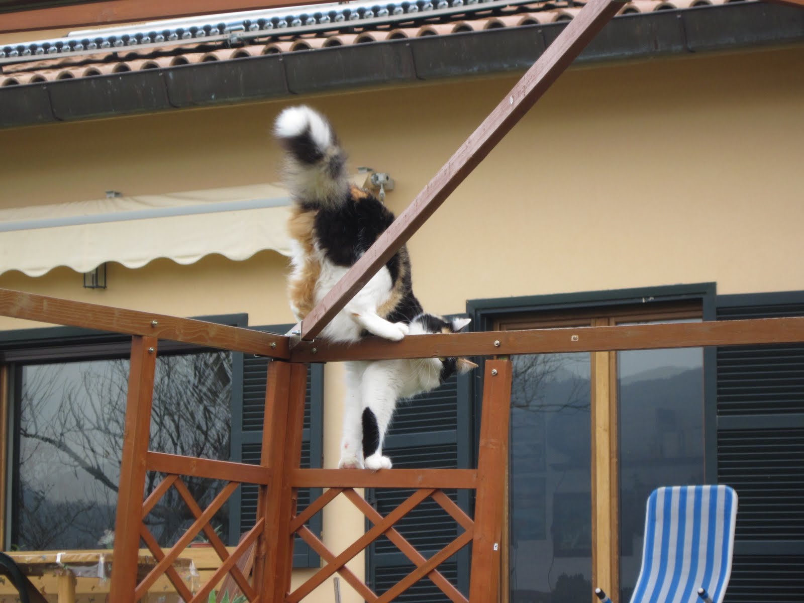 Il giardino sul lago: Gazebo