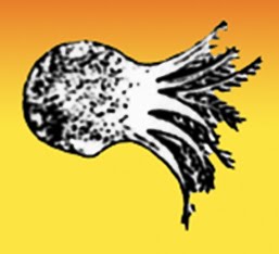 DAVID WASTING PAPER: Polyp - Cartoonist Survey #122