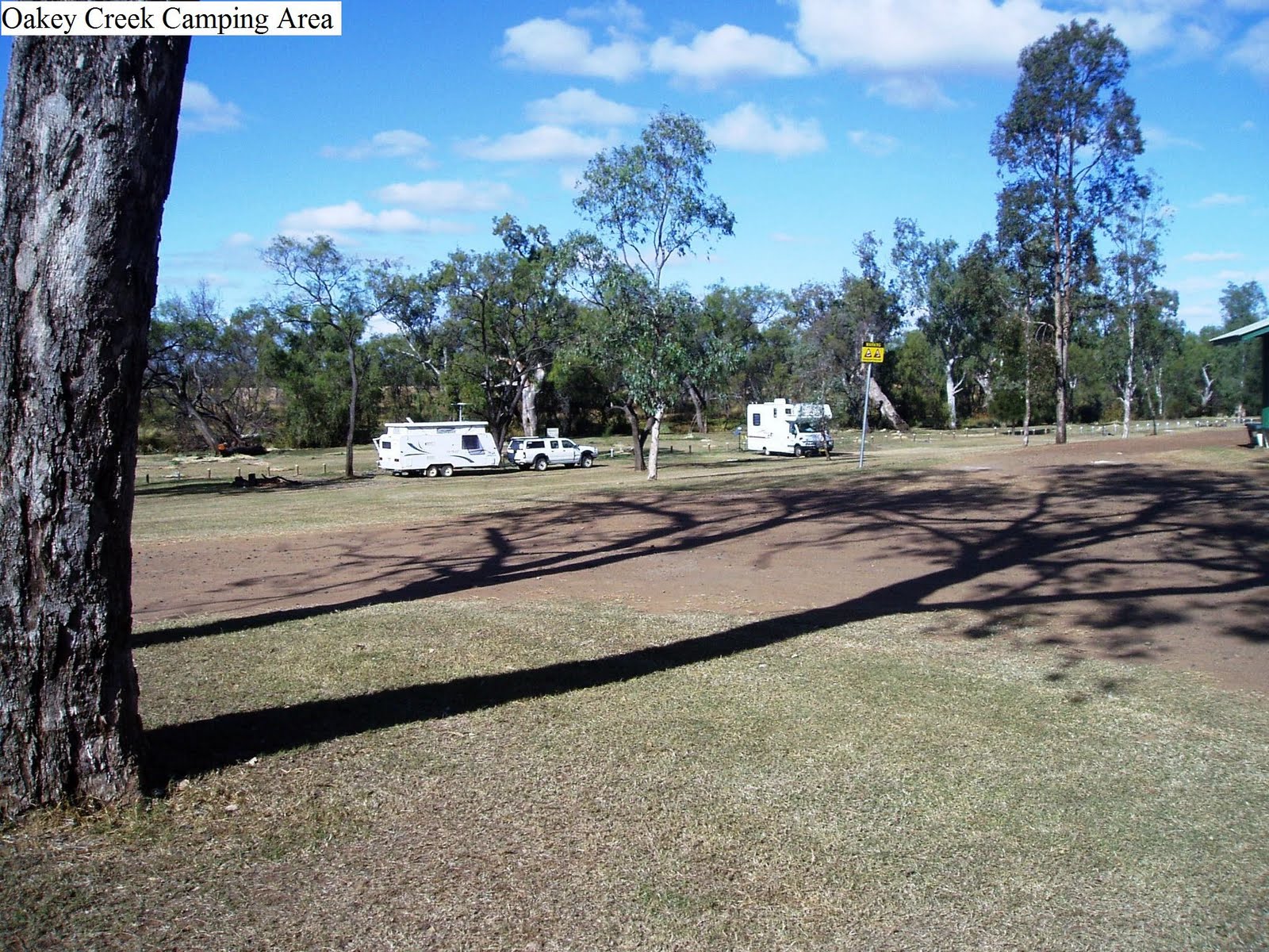 Nannapop Queensland Return to Main Site: 19th June 2010 - Oakey Creek ...