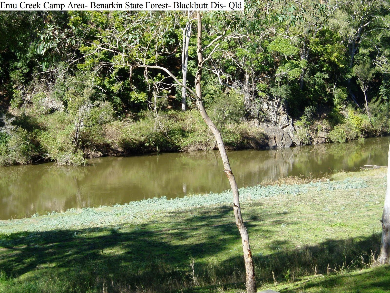 Nannapop Queensland Return to Main Site: 27th August 2010 - Clancys ...