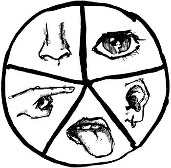 theories of architecture: An Architecture of the Seven Senses