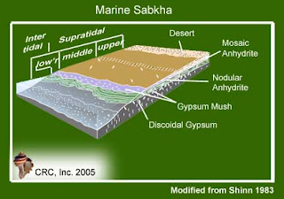 December 2009 | idiosyncratic