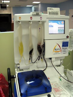 For My Family: Steve is Twice as Nice