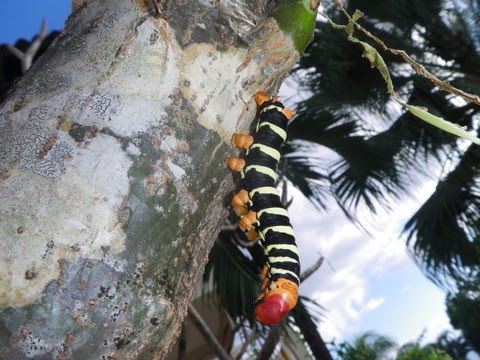 la doudou et le minou - des nouvelles de nous pour vous
