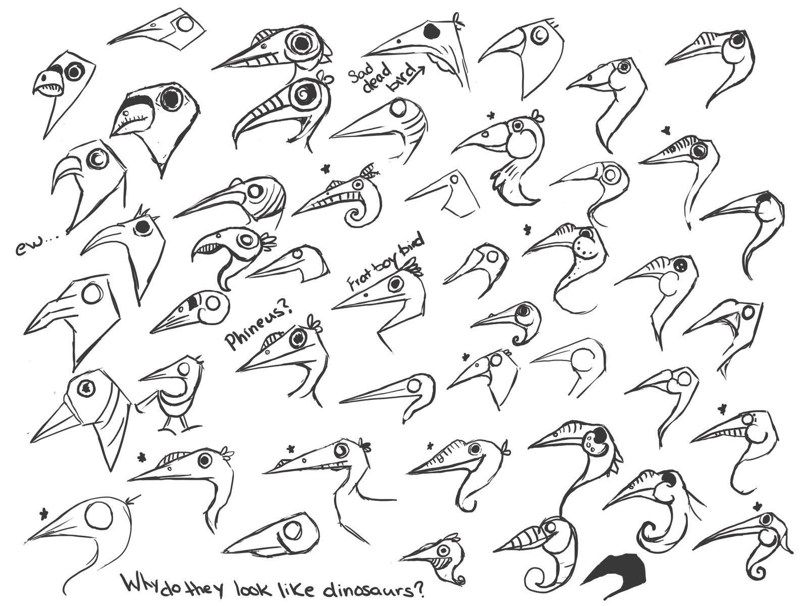 A Crunchy Film: simple bird head sketches